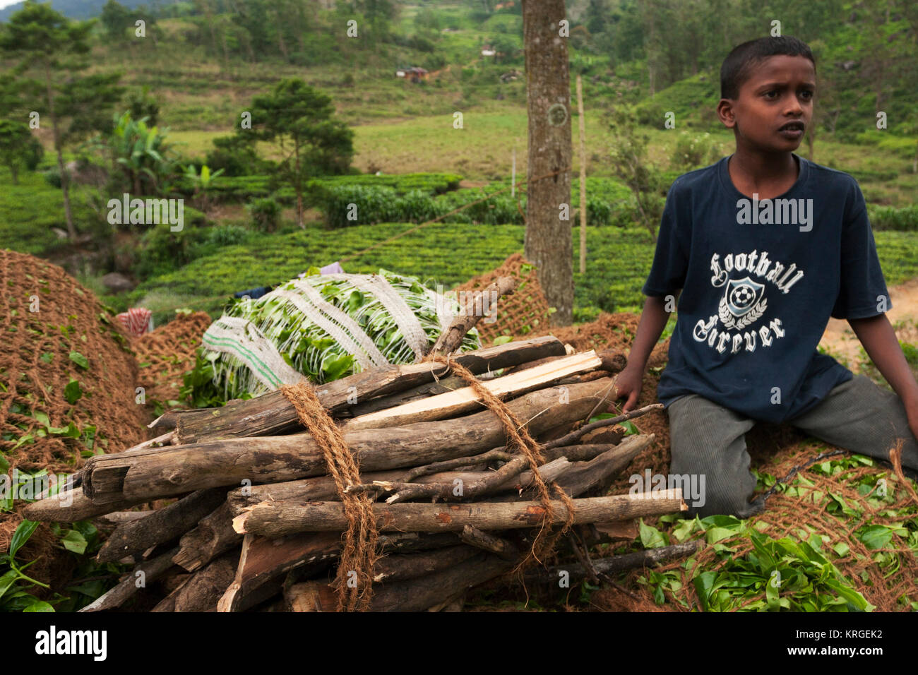 Shitruck hi-res stock photography and images - Alamy