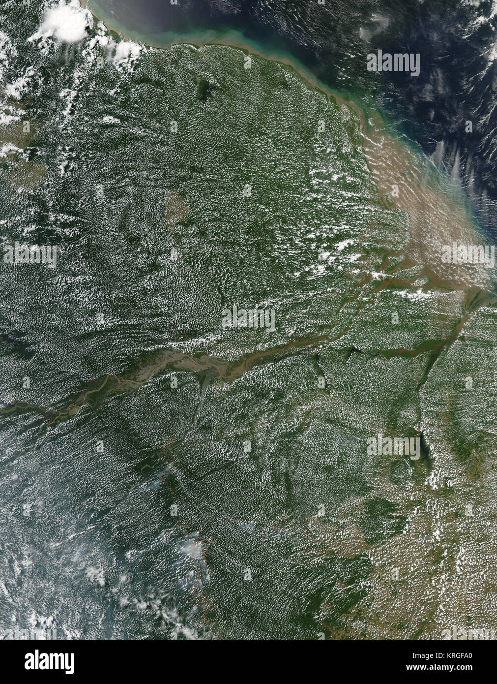 Afternoon Clouds over the Amazon Rainforest Stock Photo - Alamy