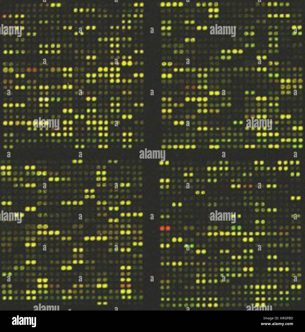 Dna microarray hi-res stock photography and images - Alamy