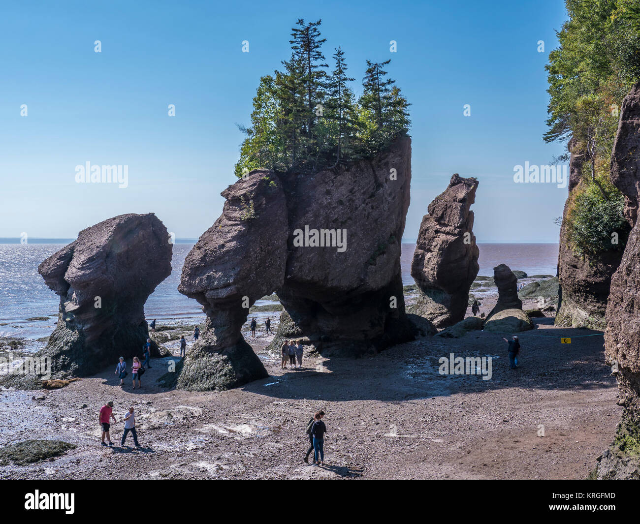 Flowerpot Rocks, Hopewell Rocks, Bay of Fundy, New Brunswick, Canada ...