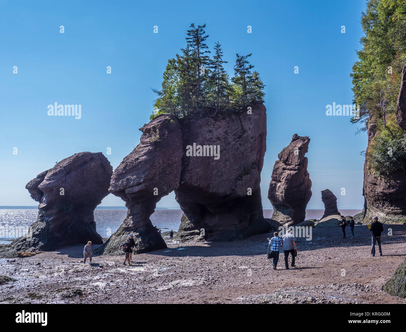 Flowerpot Rocks, Hopewell Rocks, Bay of Fundy, New Brunswick, Canada ...