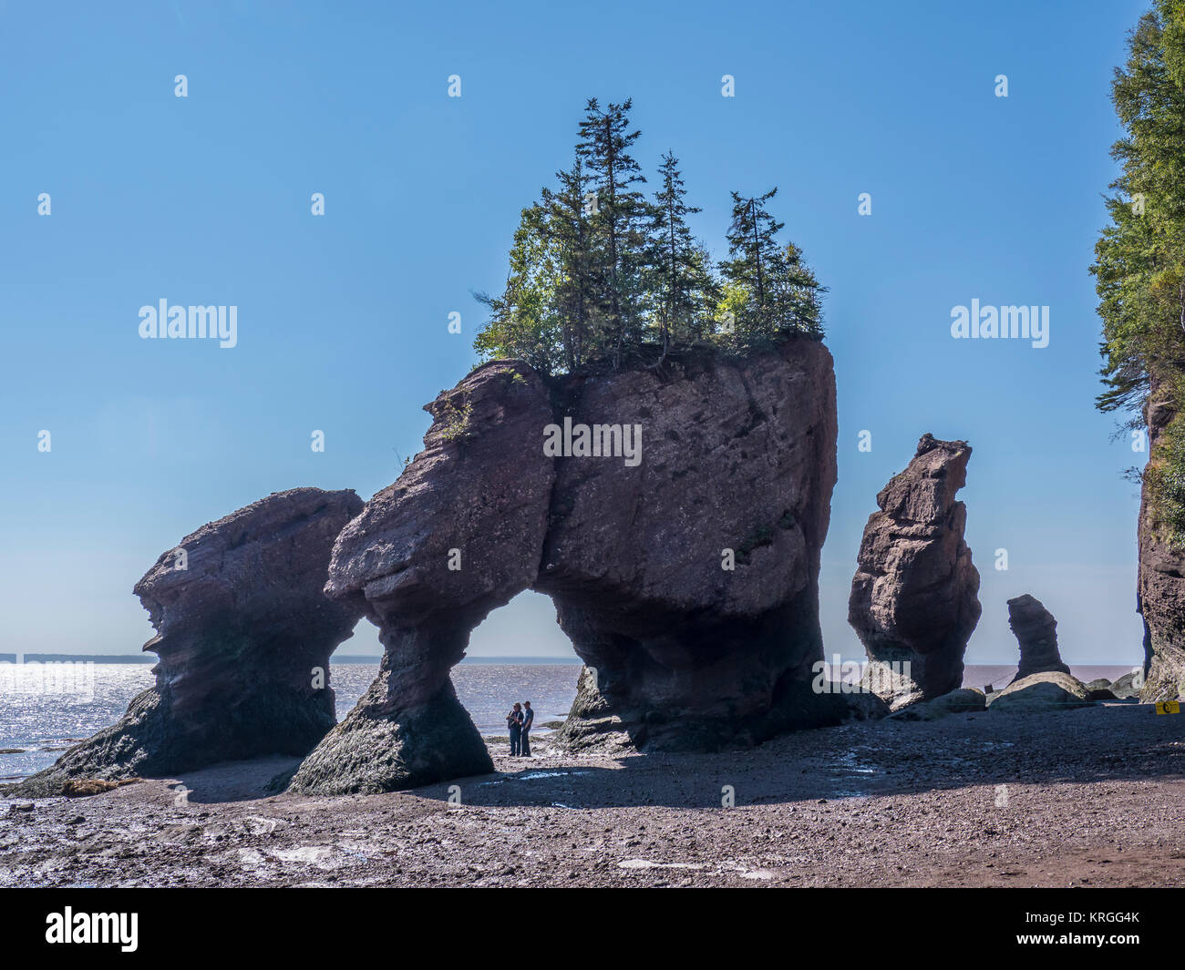 Flowerpot Rocks, Hopewell Rocks, Bay of Fundy, New Brunswick, Canada ...