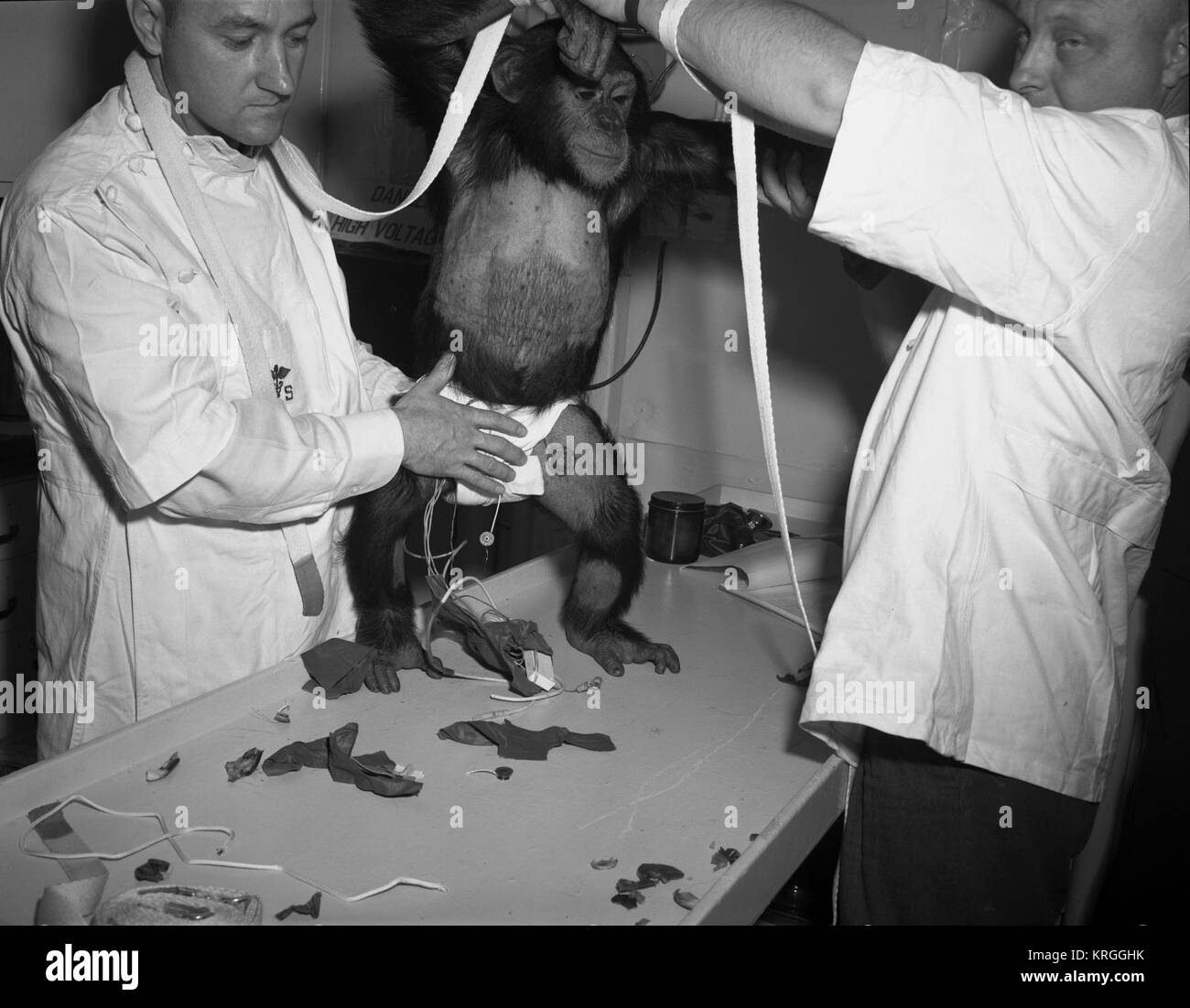 Ham with bio-sensors Stock Photo - Alamy