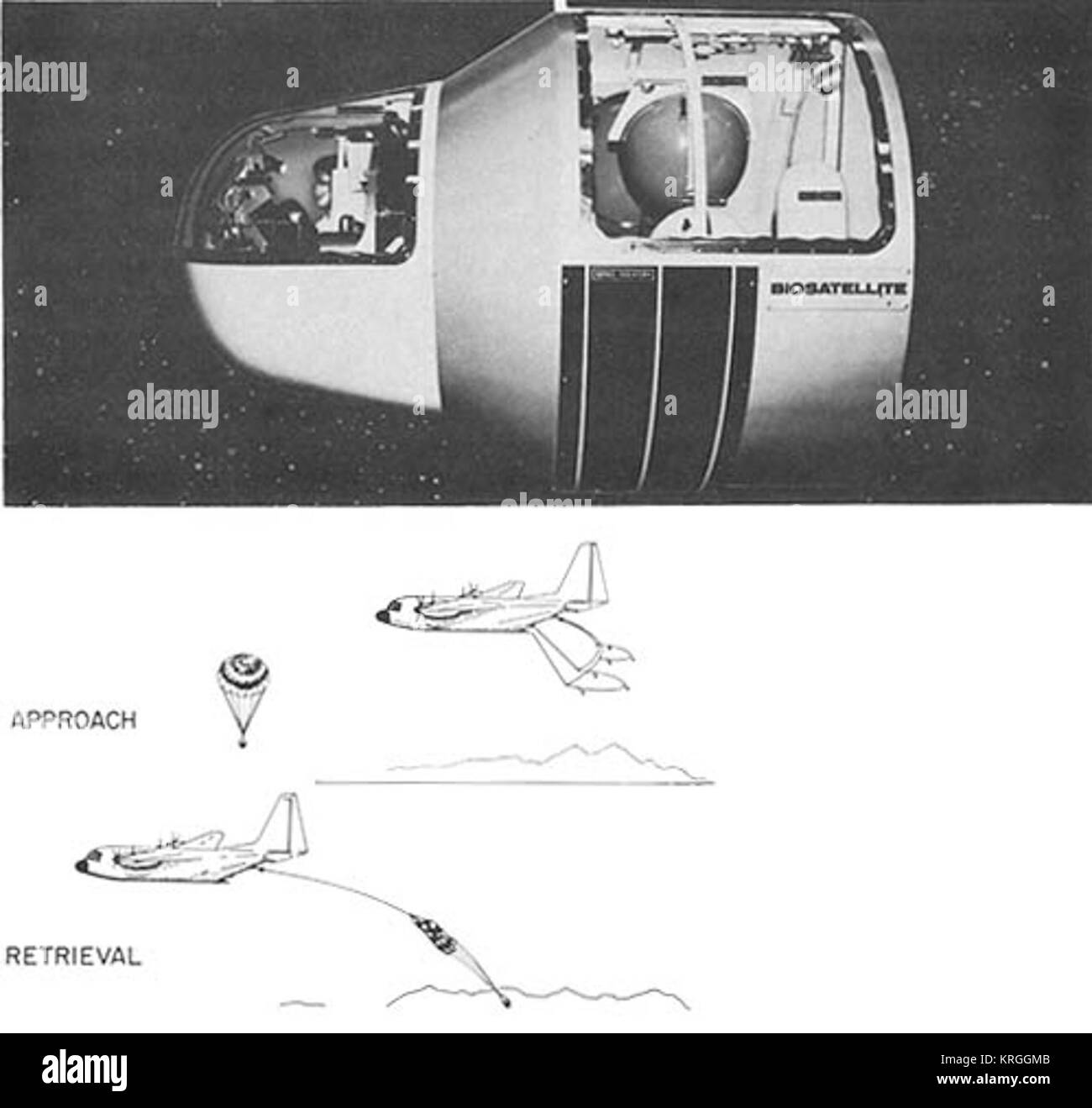 Biosatellite hi-res stock photography and images - Alamy