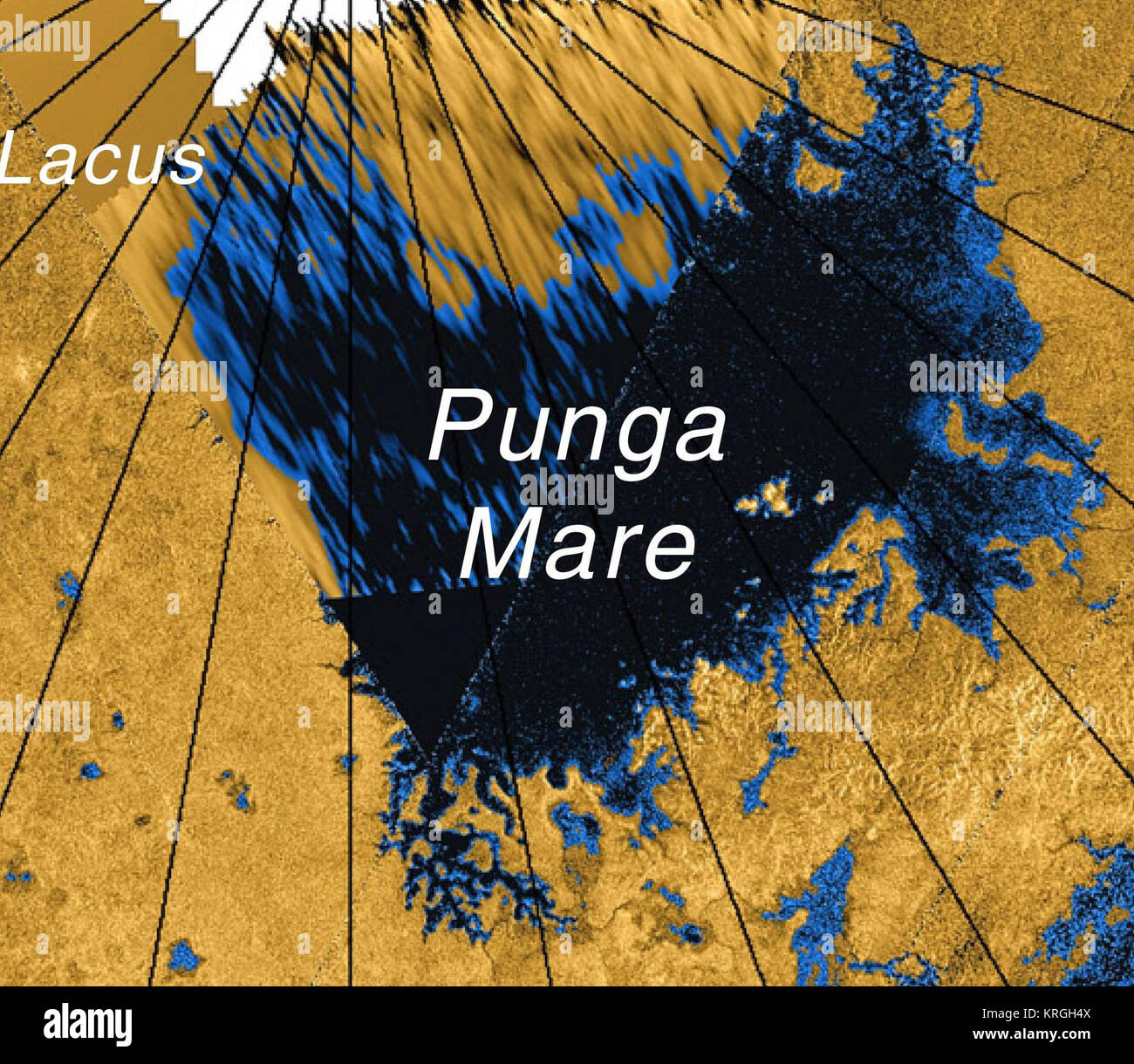 Punga mare hi-res stock photography and images - Alamy