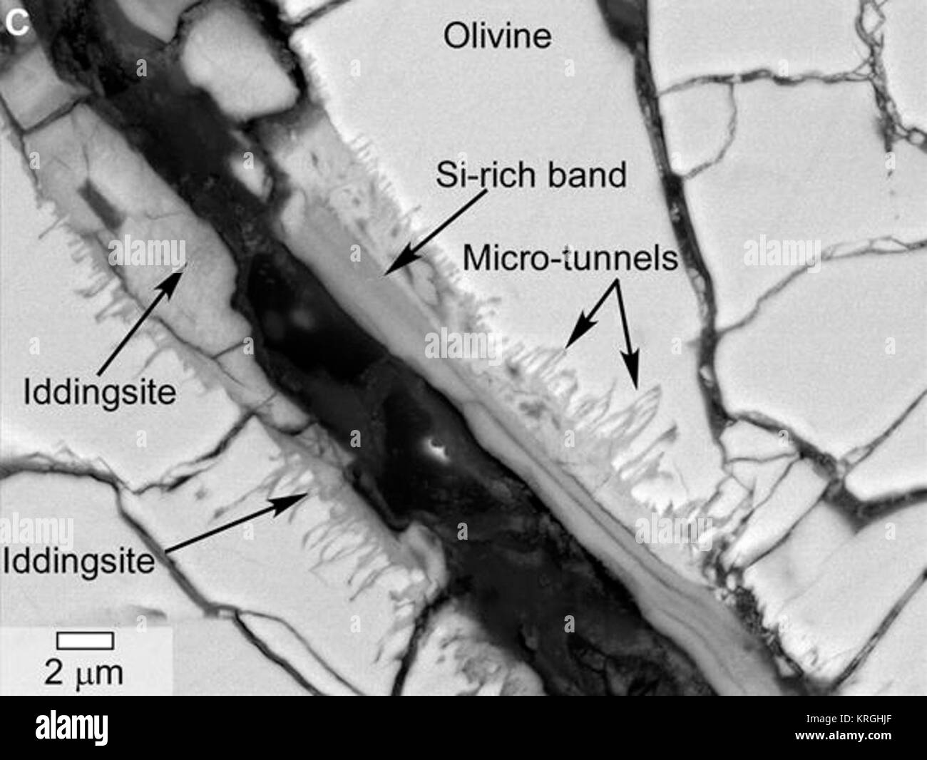 Microtunnels hi-res stock photography and images - Alamy