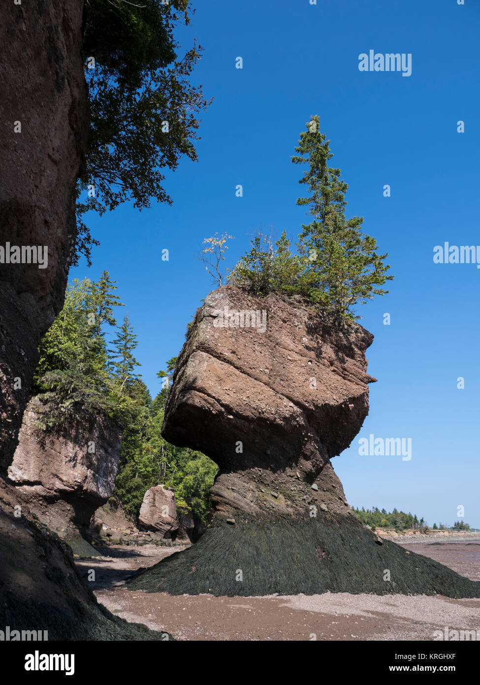 Flowerpot Rocks, Hopewell Rocks, Bay of Fundy, New Brunswick, Canada ...