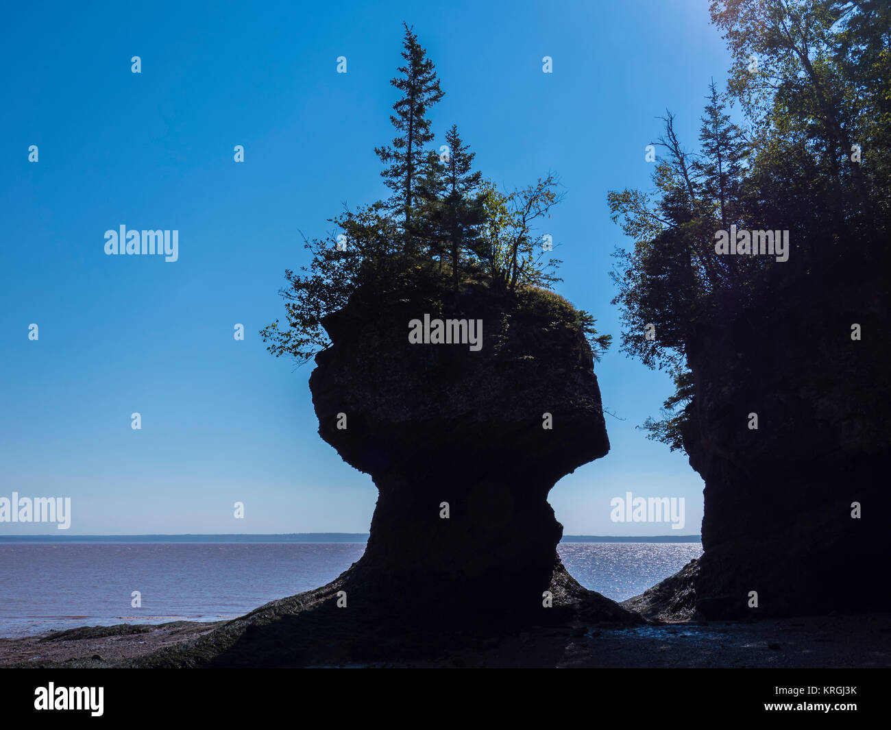Flowerpot Rocks, Hopewell Rocks, Bay of Fundy, New Brunswick, Canada ...
