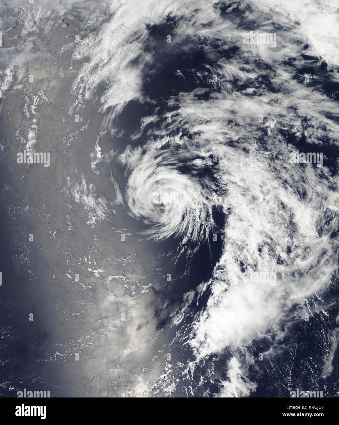 Tapah hi-res stock photography and images - Alamy