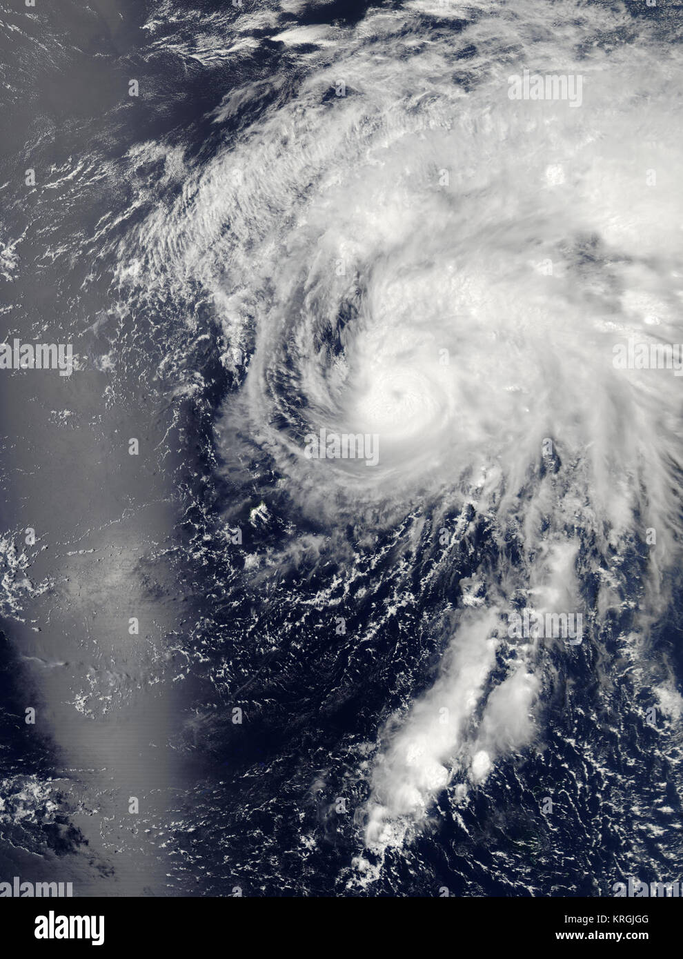 Tapah hi-res stock photography and images - Alamy