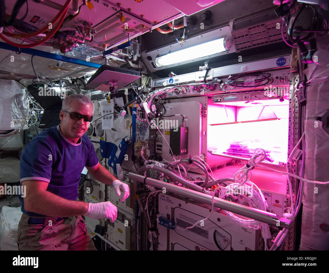 ISS-39 Steve Swanson with Veggie in the Columbus module Stock Photo - Alamy