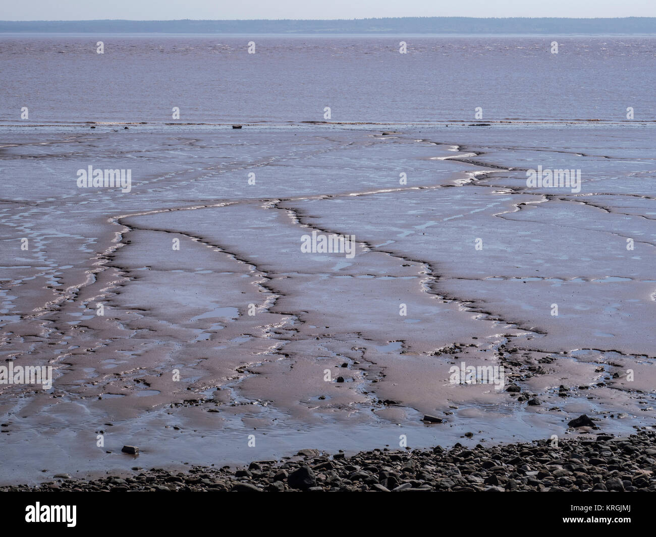 Tidal mud, North Beach, Hopewell Rocks, Bay of Fundy, New Brunswick ...