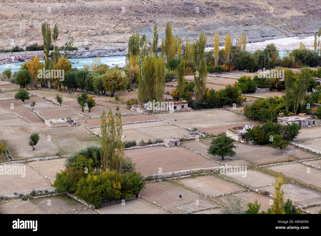 Turtuk village in the Shyok Valley, Nubra Valley, Ladakh, Jammu and ...