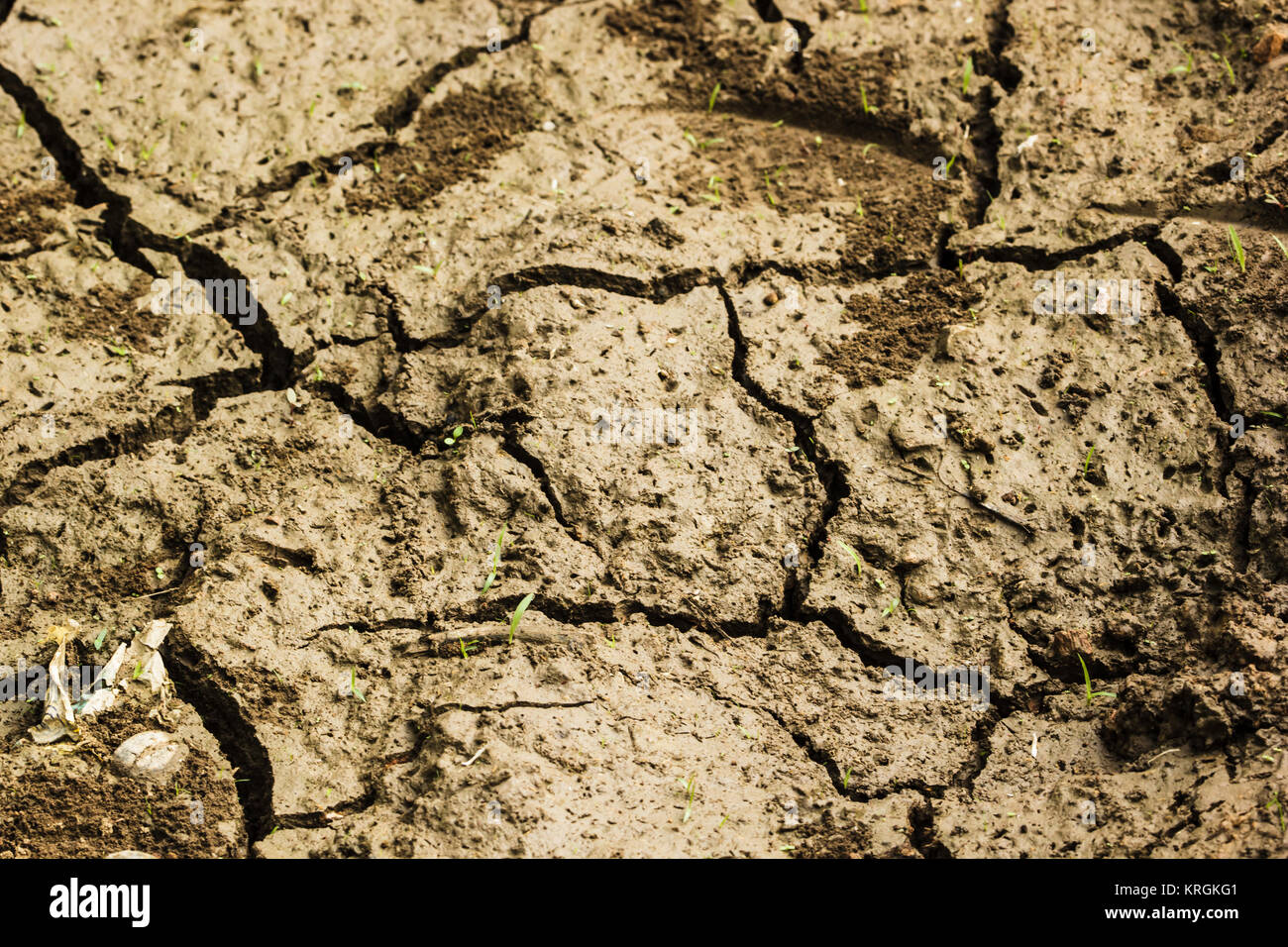 Close up dry and broken ground pattern texture background Stock Photo ...