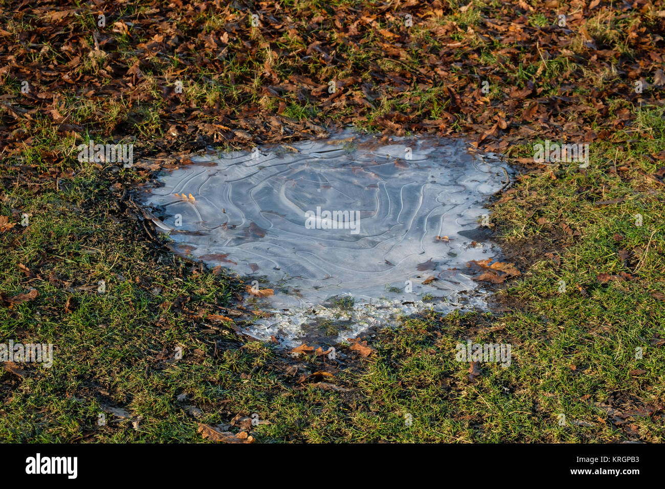 Ice puddle hi-res stock photography and images - Alamy