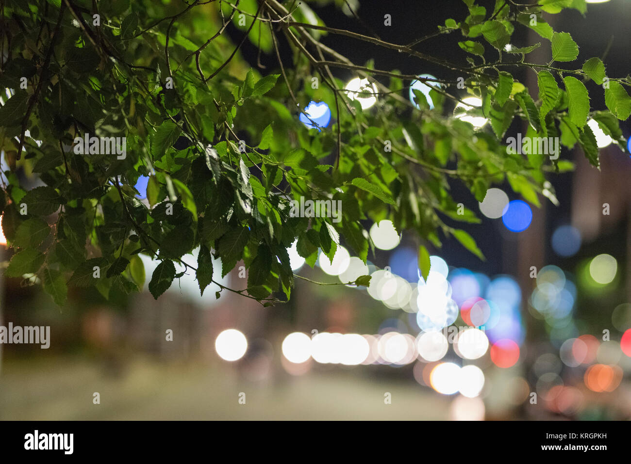 City lights and green leaves at night Stock Photo - Alamy