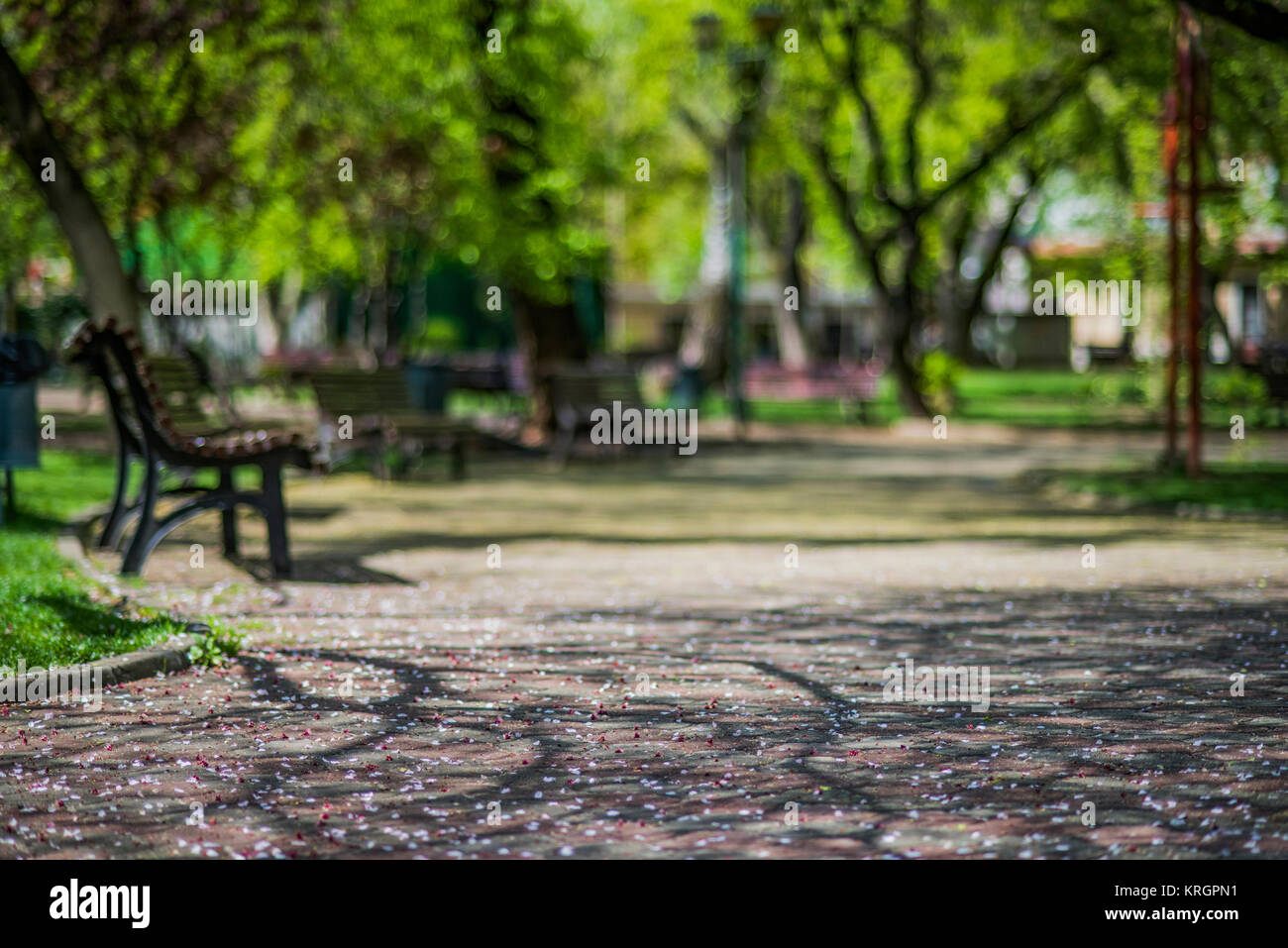 Central floral composition hi-res stock photography and images - Alamy