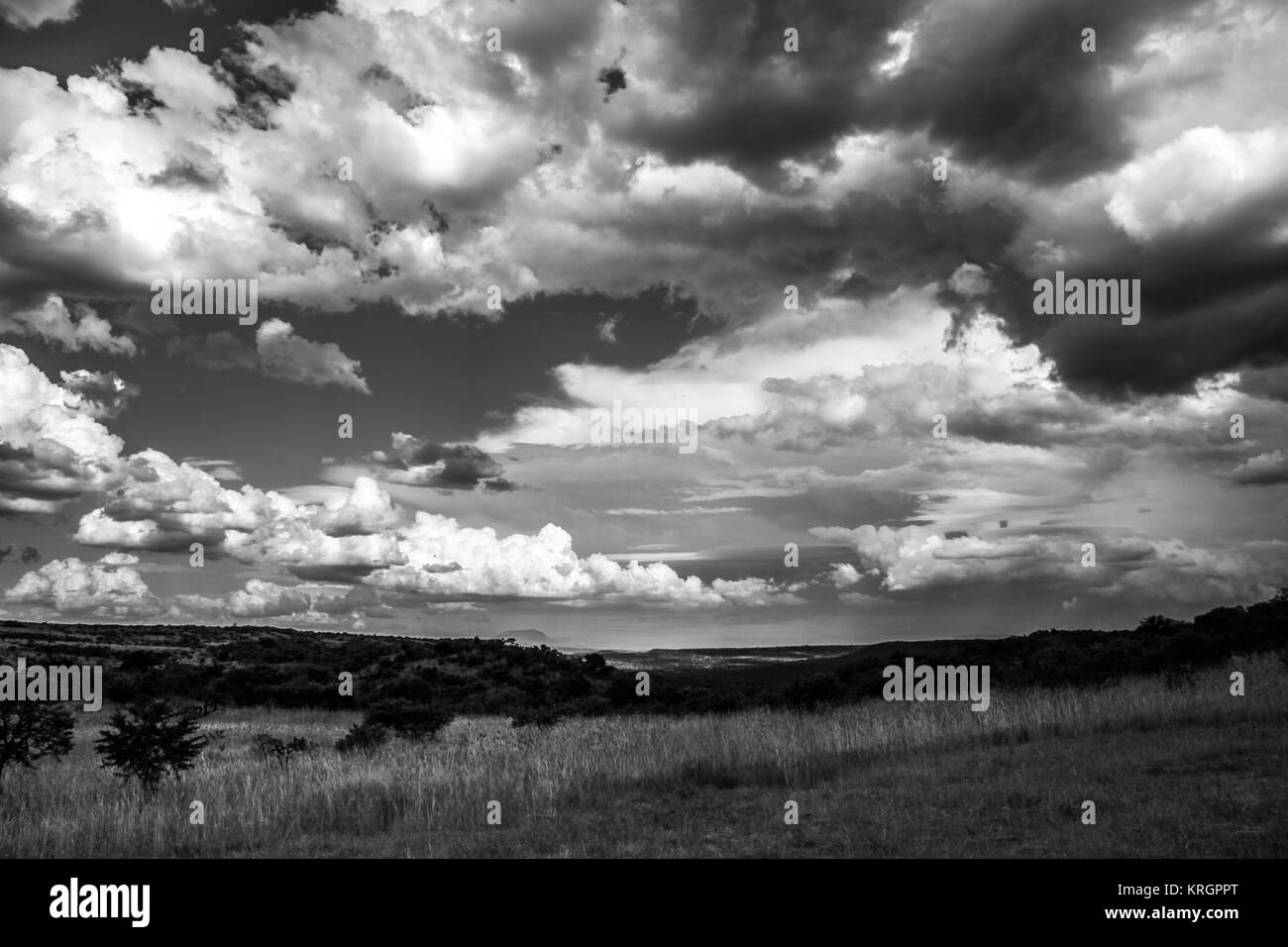 South landscape night Black and White Stock Photos & Images - Alamy