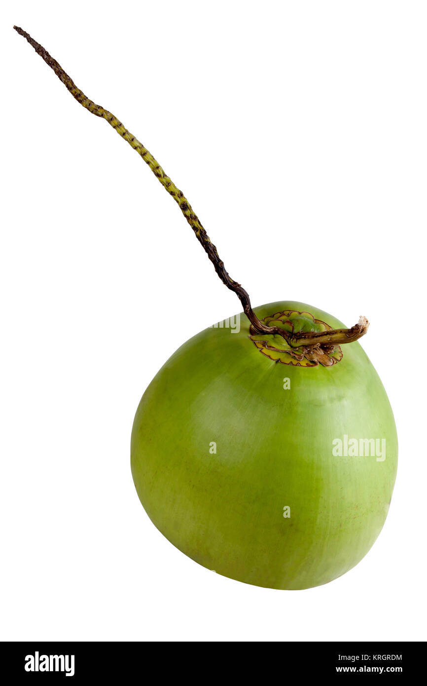 fresh coconut isolated Stock Photo - Alamy