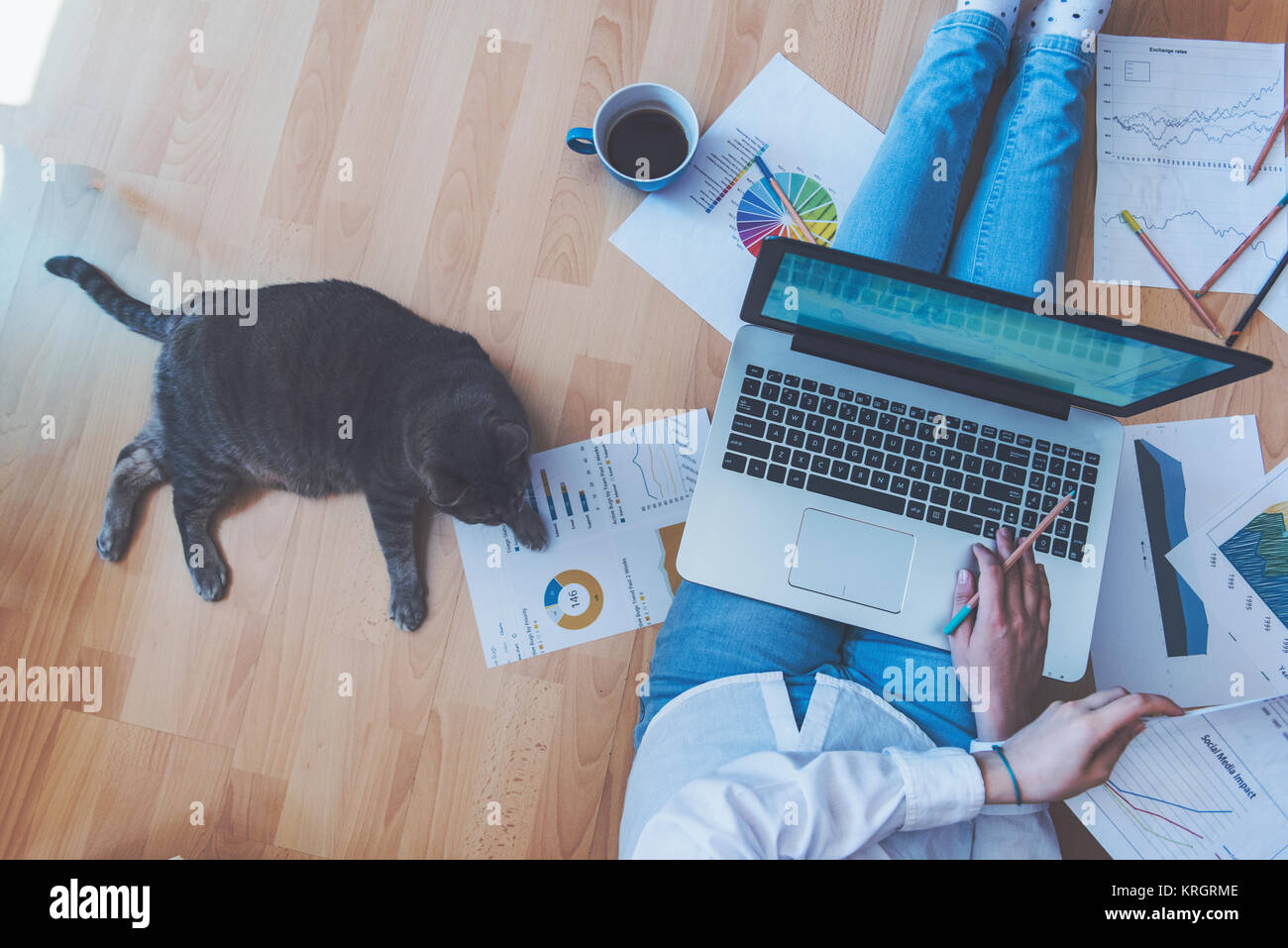 Relaxing work from home: girl on a floor working assisted by her cat ...