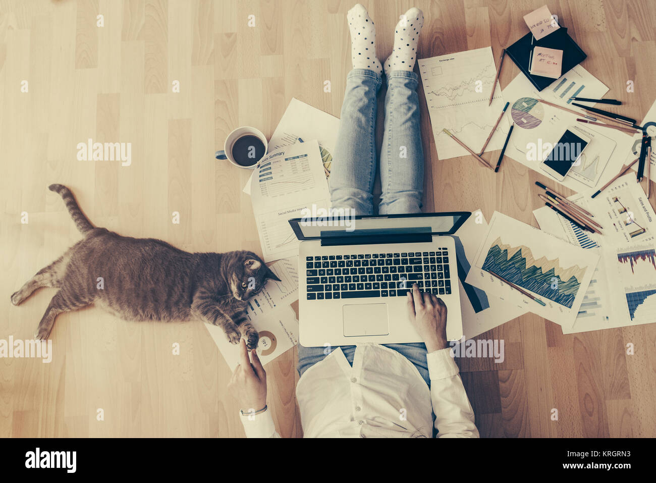 Relaxing work from home: girl on a floor working assisted by her cat ...