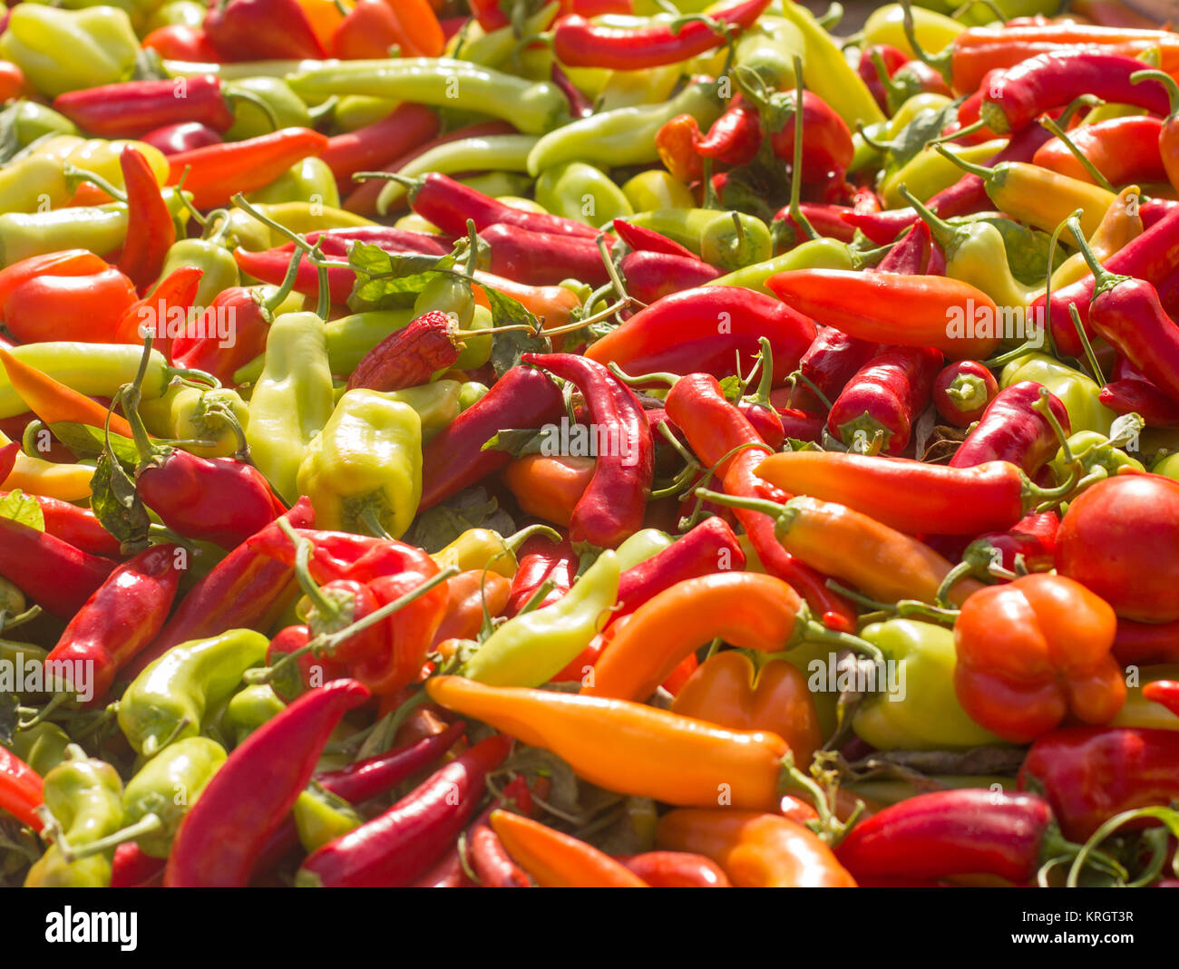 Colorful Vegetable Peppers Stock Photo - Alamy