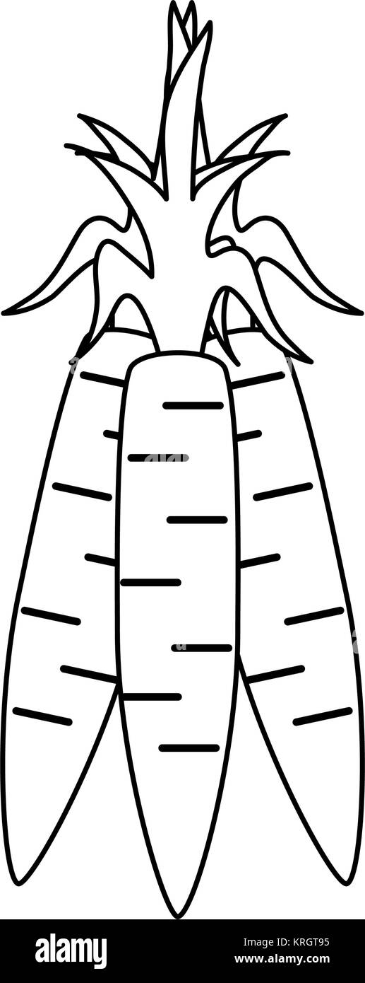 Carrots health Black and White Stock Photos & Images - Alamy