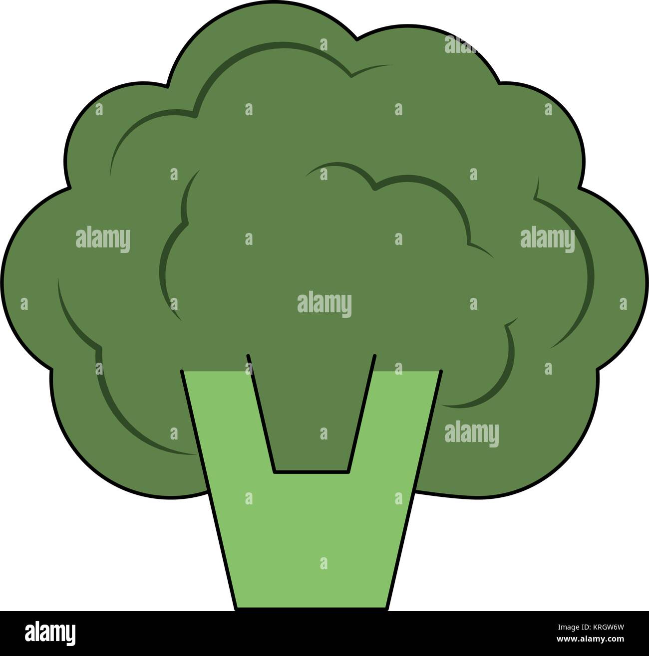 Broccoli vegetable isolated Stock Vector Image & Art - Alamy