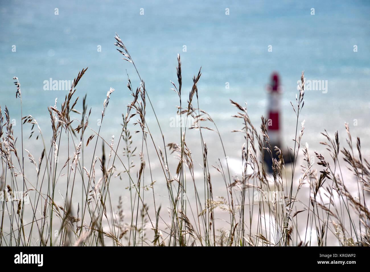 beachy head lighthouse brighton Stock Photo - Alamy
