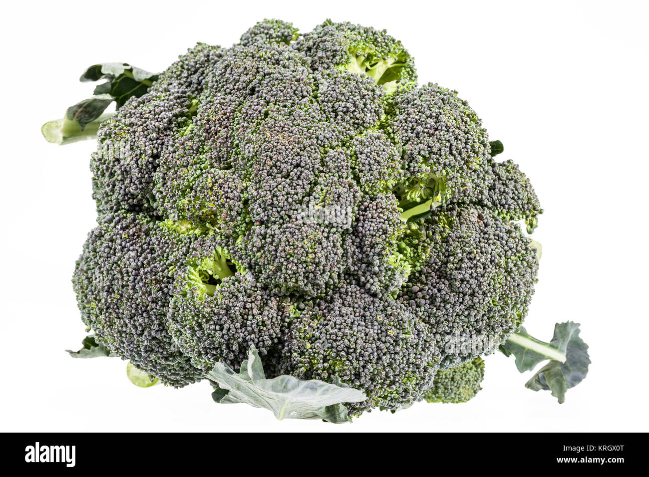 Single fresh green broccoli isolated on white background Stock Photo ...