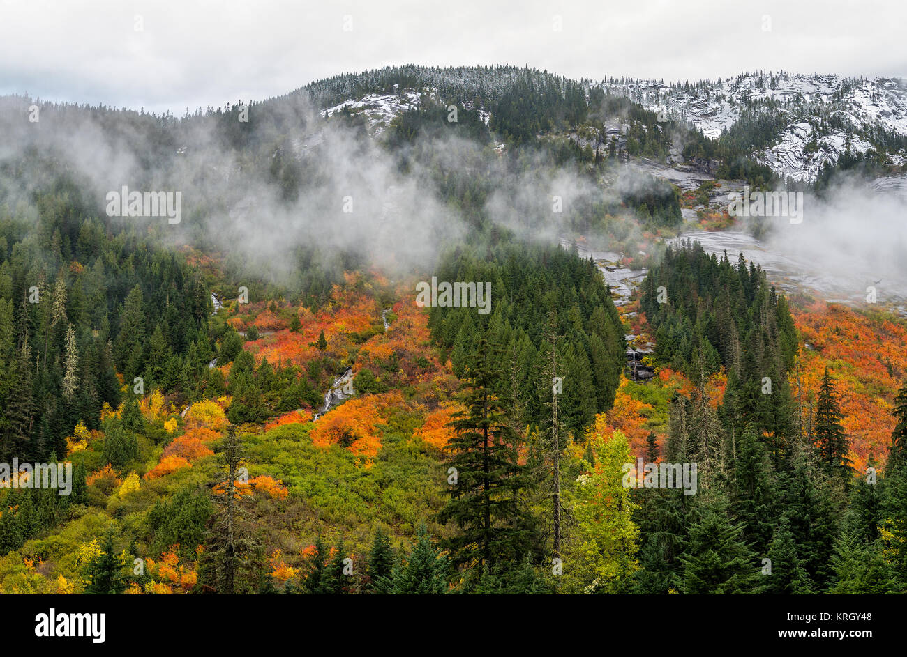 Fall foliage at the Coquihalla Pass, -Highway 5 or Coquihalla Highway ...