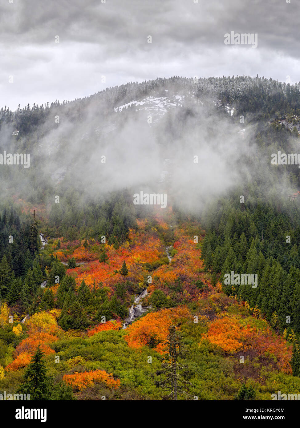 Fall foliage at the Coquihalla Pass, -Highway 5 or Coquihalla Highway ...