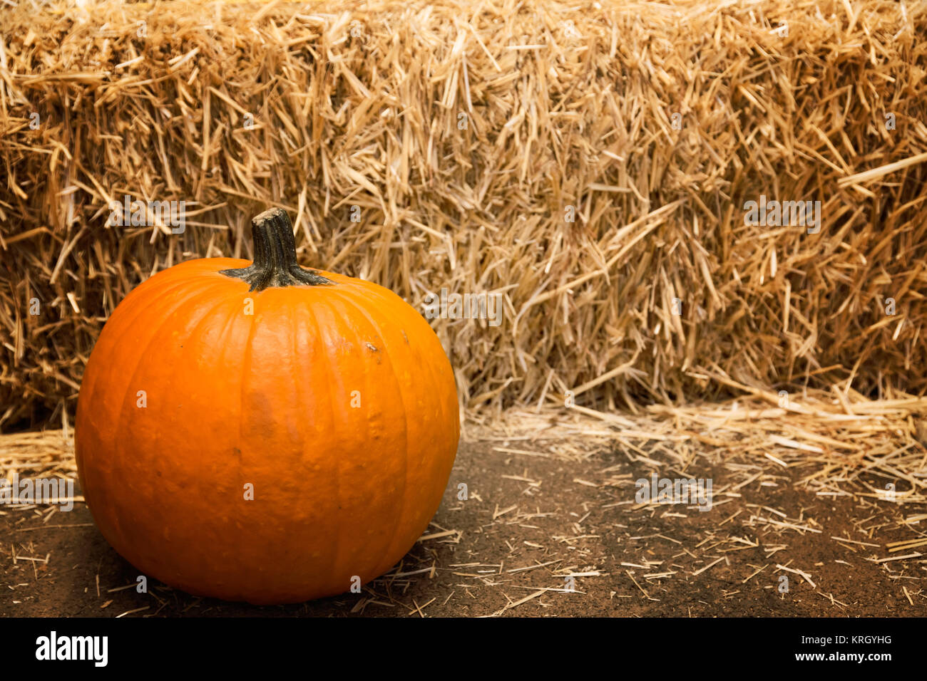 Large pumpkin background Stock Photo - Alamy