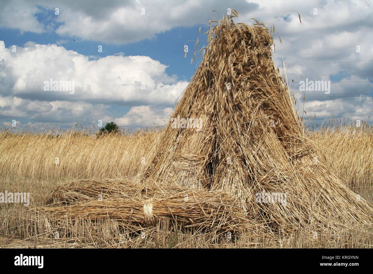 arranged in stacks of grain 3 Stock Photo - Alamy