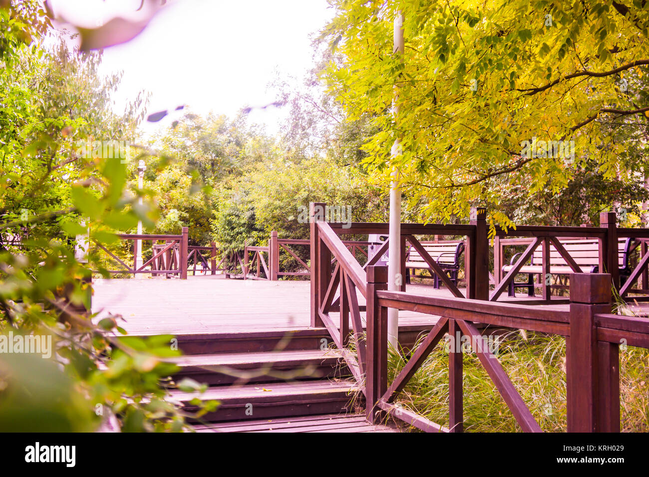A corner of the park Stock Photo - Alamy