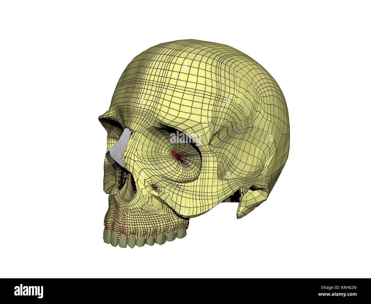 skull skull isolated Stock Photo - Alamy