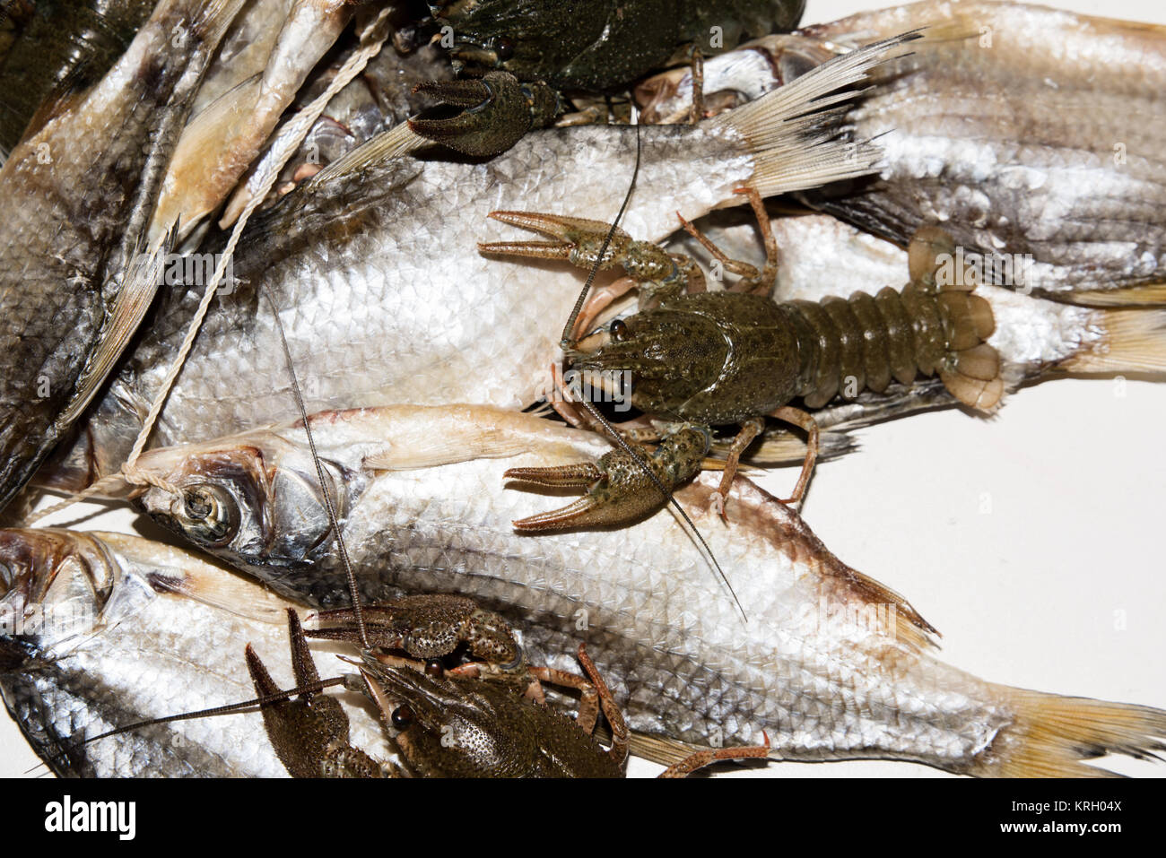 Dried crayfish hi-res stock photography and images - Alamy
