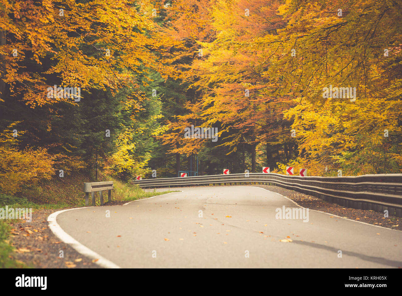 Autumn landscape with road and beautiful colored trees Stock Photo - Alamy