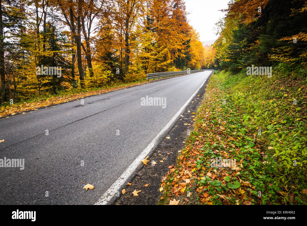 Autumn landscape with road and beautiful colored trees Stock Photo - Alamy