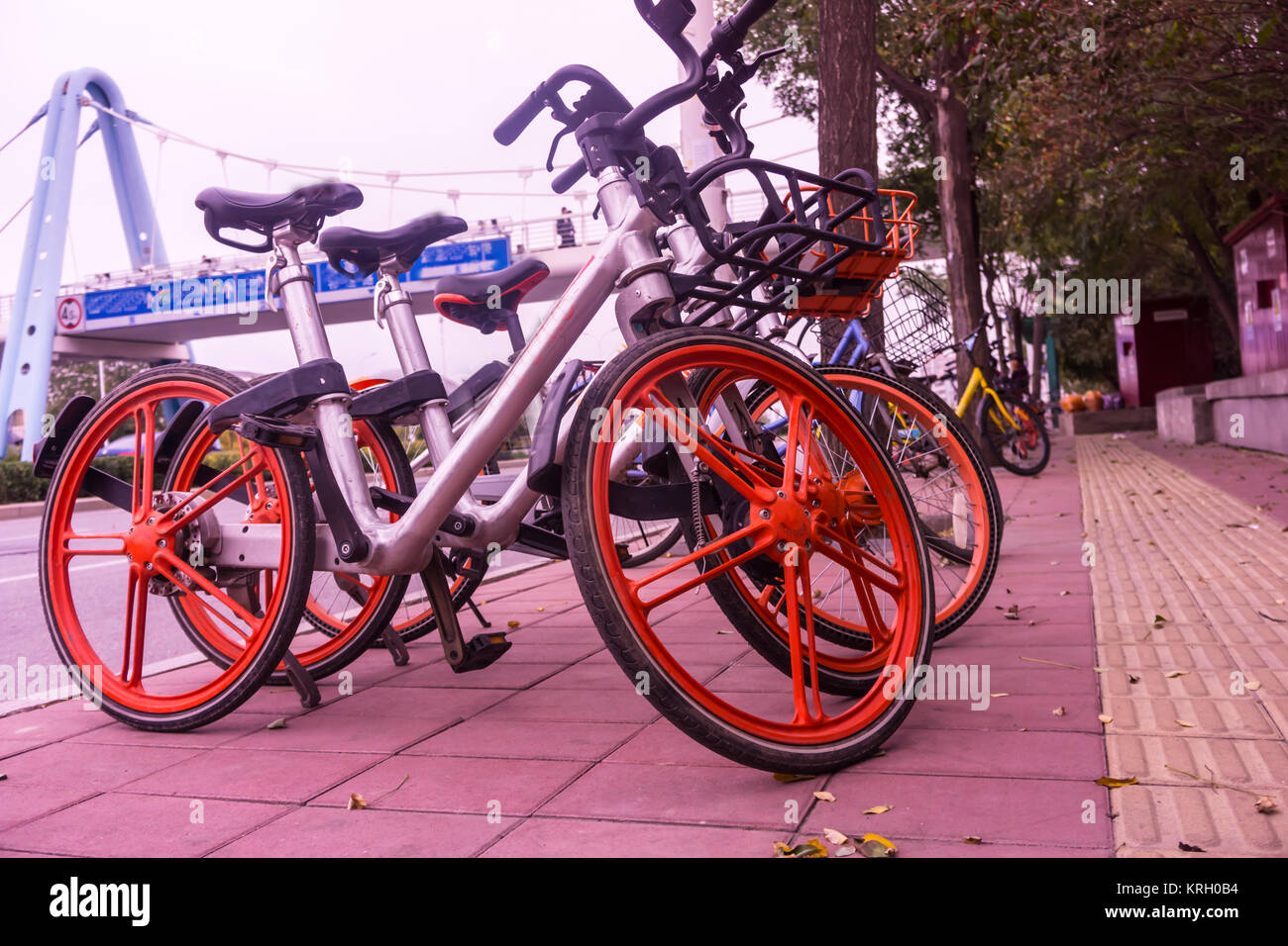 China shared bike hi-res stock photography and images - Alamy