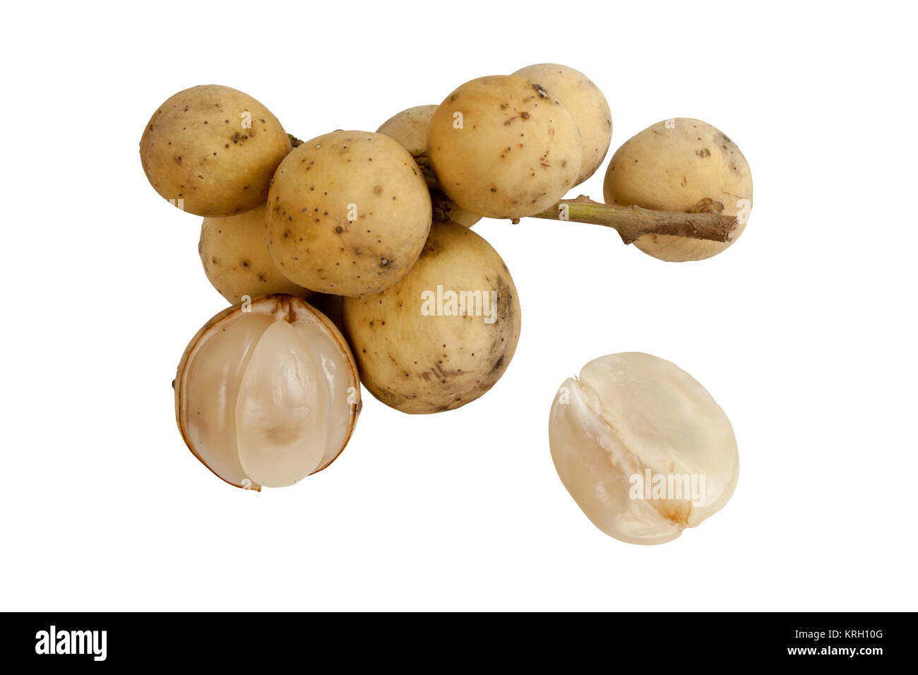 southern langsat fruit Stock Photo - Alamy