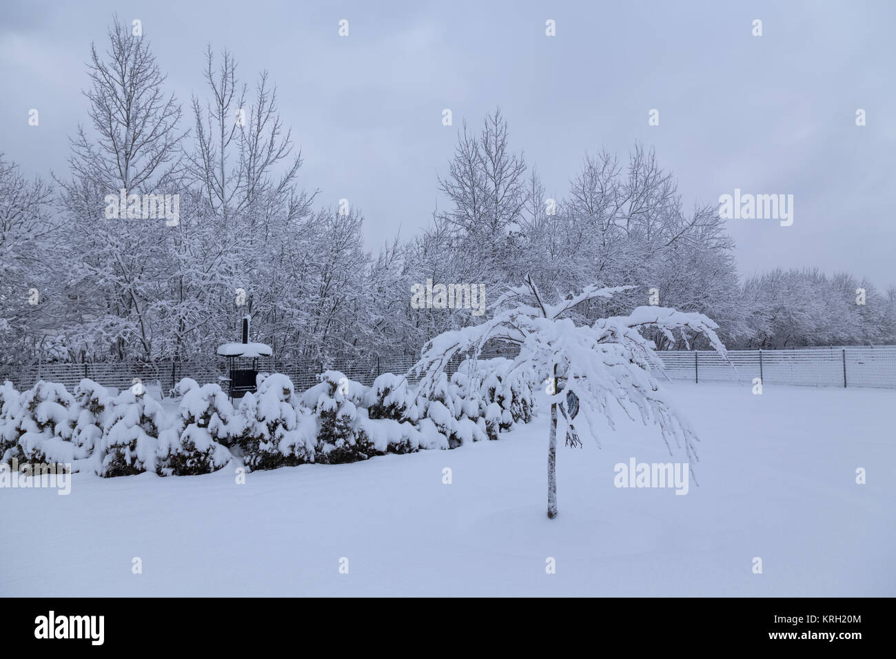 first snow Russian cold winter Stock Photo - Alamy