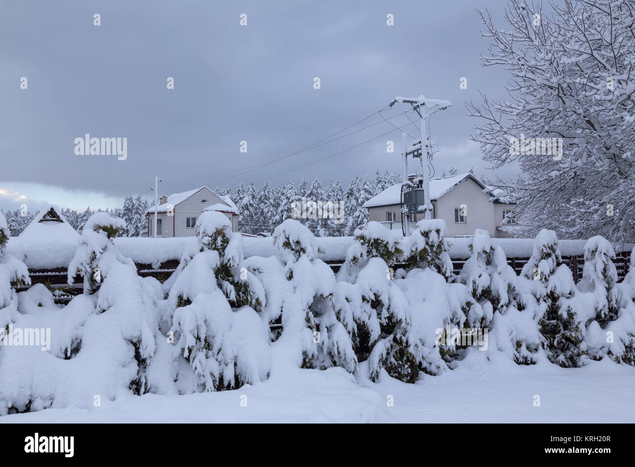 first snow Russian cold winter Stock Photo - Alamy