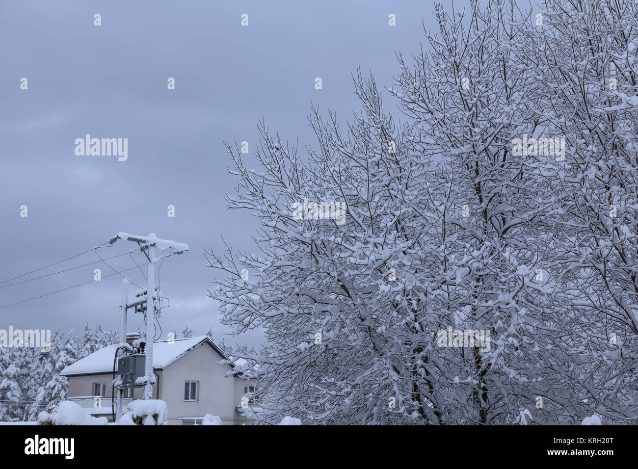 first snow Russian cold winter Stock Photo - Alamy