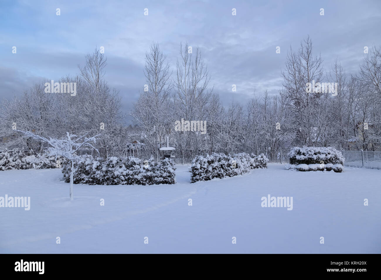 first snow Russian cold winter Stock Photo - Alamy
