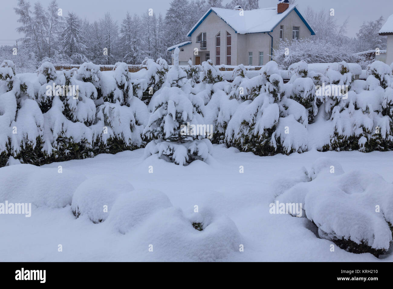 first snow Russian cold winter Stock Photo - Alamy