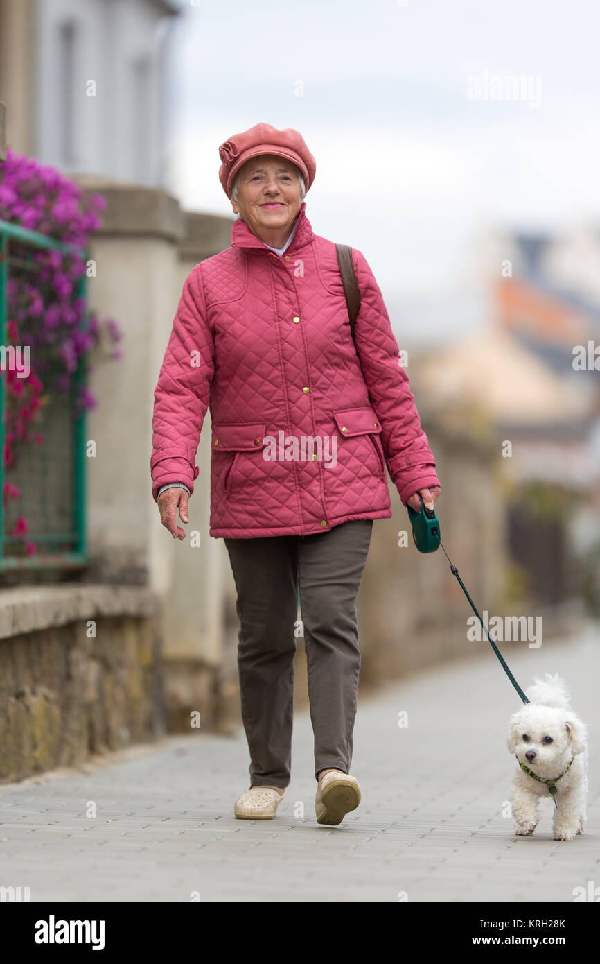 Senior woman walking her little dog on a city street looking happy and ...