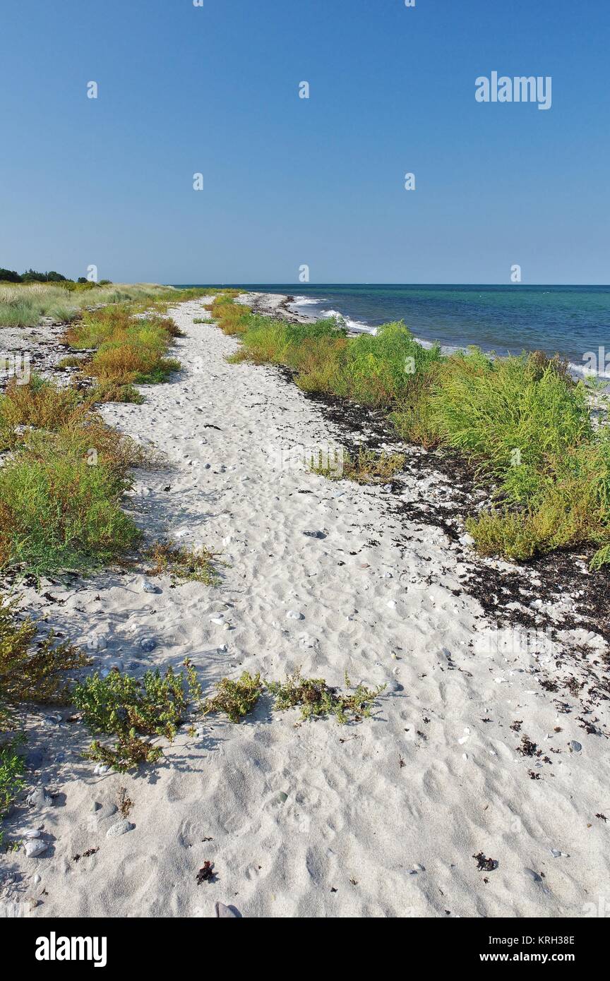 fehmarn,natural beach in the northwest of the island Stock Photo - Alamy