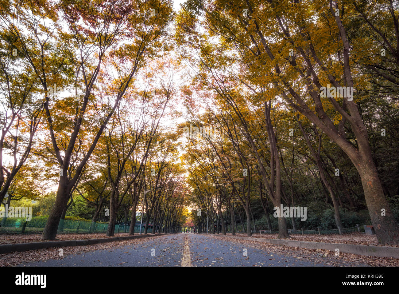 Incheon street view hi-res stock photography and images - Alamy