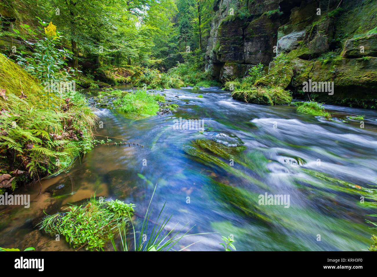 Canyon scenery and trails Kamnitz Gorge in the Czech Switzerland ...